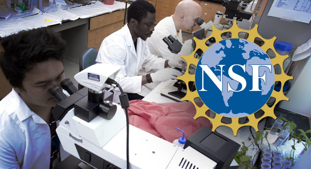 TSU First to Host NSF Day in Nashville – Tennessee State University ...